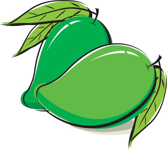 Green Mango Vector Images (over 5,600)