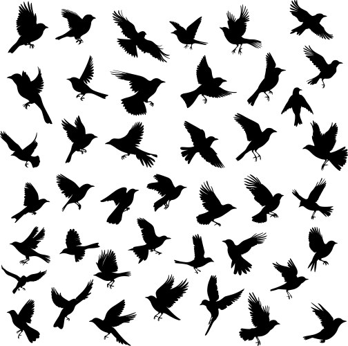 Seamless pattern flying birds Royalty Free Vector Image