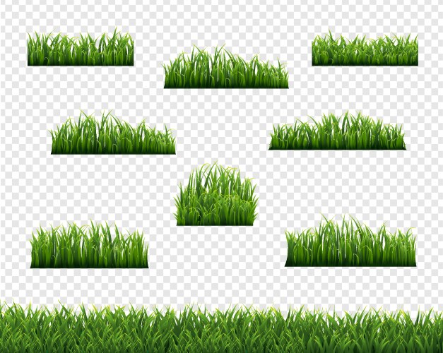 Long Grass Vector Images (over 4,800)