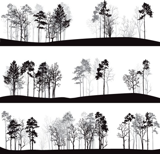 Set of different landscape with pine trees Vector Image