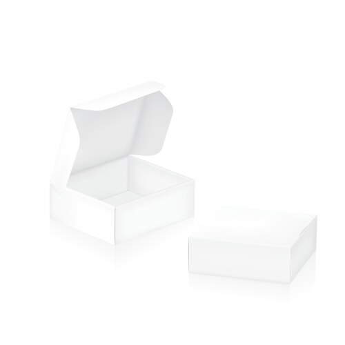 Empty cardboard box packaging blank template Vector Image