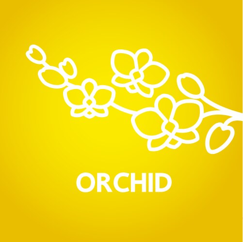 Orchid design Royalty Free Vector Image - VectorStock
