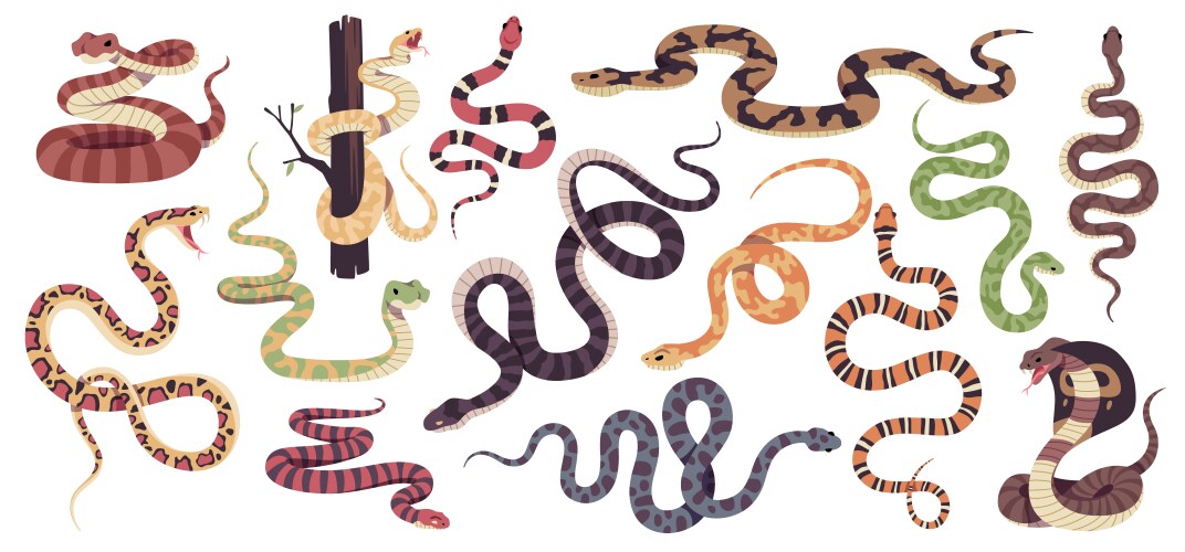 Sea snake Royalty Free Vector Image - VectorStock