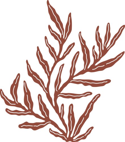 Seagrass Vector Images (over 550)