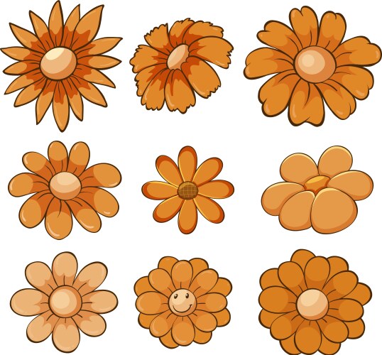 Big collection of colorful flowers Royalty Free Vector Image