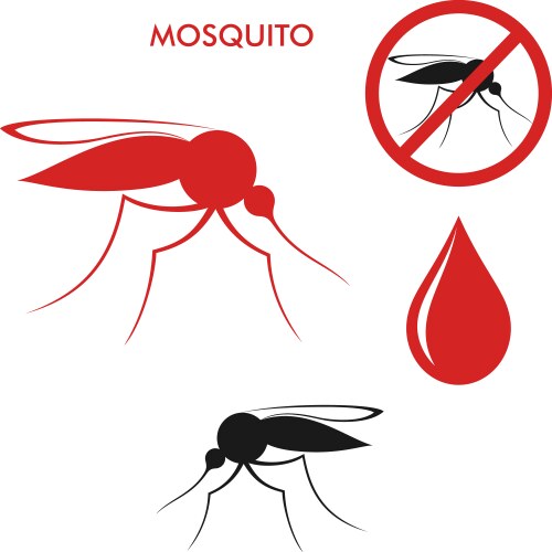 Mosquito Vector Images (over 16,000)