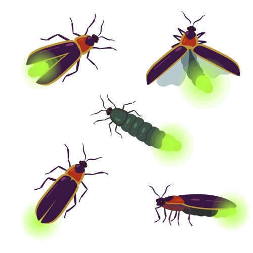 Firefly Vector Images (over 4,800)