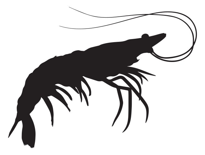 Sea lamprey silhouette art Royalty Free Vector Image