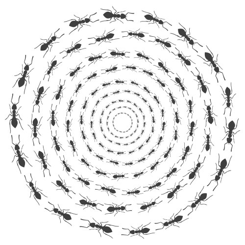Insect Border Vector Images (over 4,100)