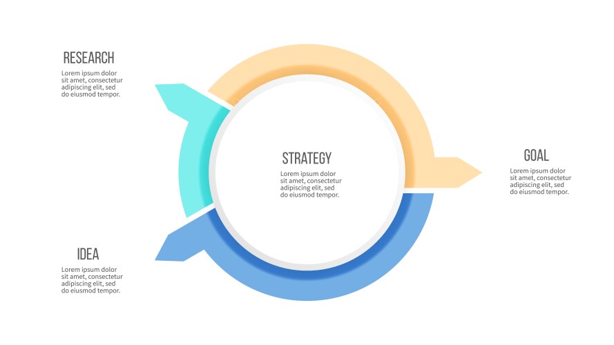 Business infographic organization chart with 3 Vector Image