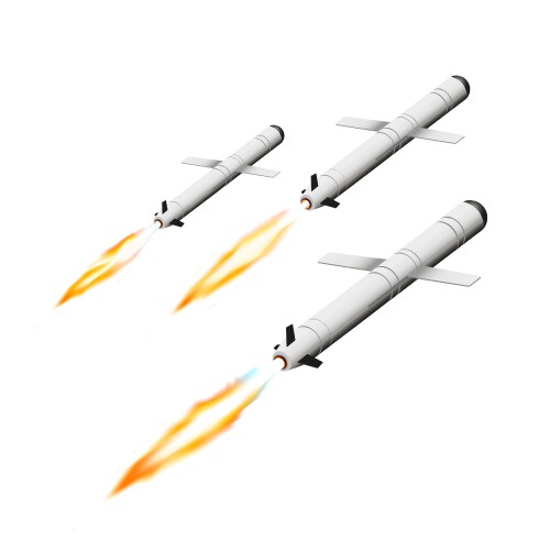 Flying cruise missile on a white background Vector Image