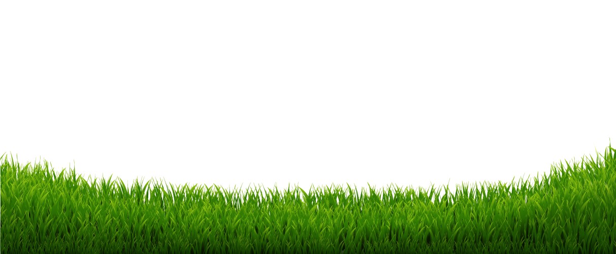 Summer poster with grass border Royalty Free Vector Image