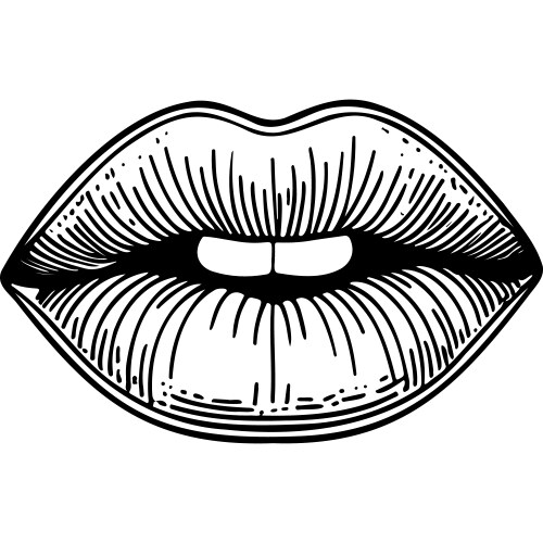 Cartoon lips hand drawn line transparent Vector Image