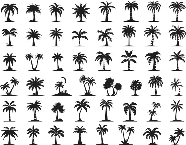 Tropical palms seamless Royalty Free Vector Image