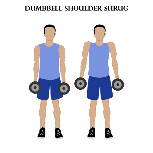 Woman doing dumbbell bicep hammer curls Royalty Free Vector