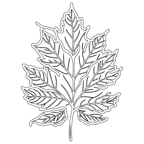 Maple Leaf Outline Vector Images (over 10,000)