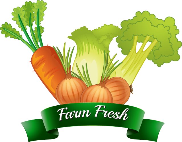 Healthy fresh produce vegetables Royalty Free Vector Image