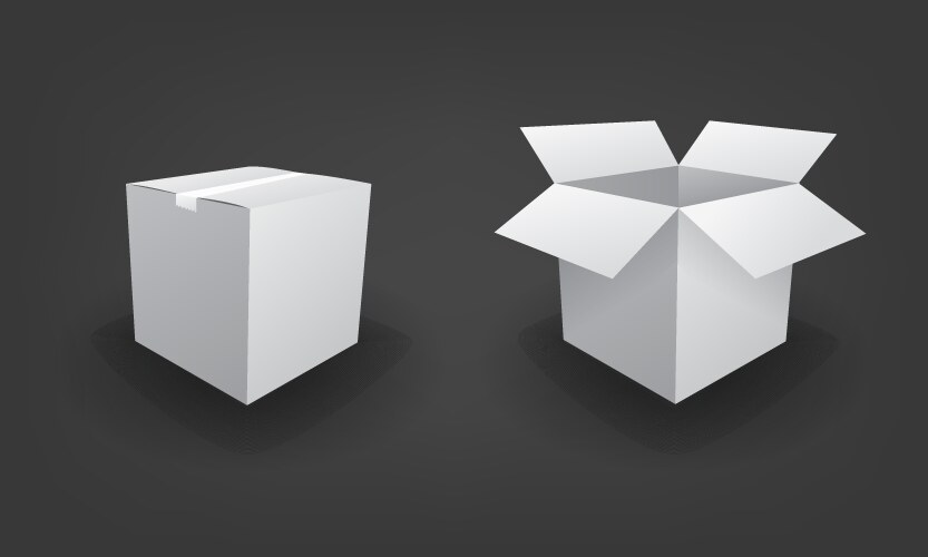 Blank open and closed white box package business Vector Image