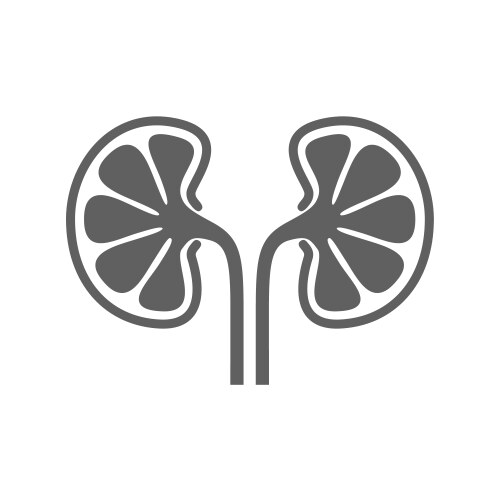 Human kidneys symbol Royalty Free Vector Image