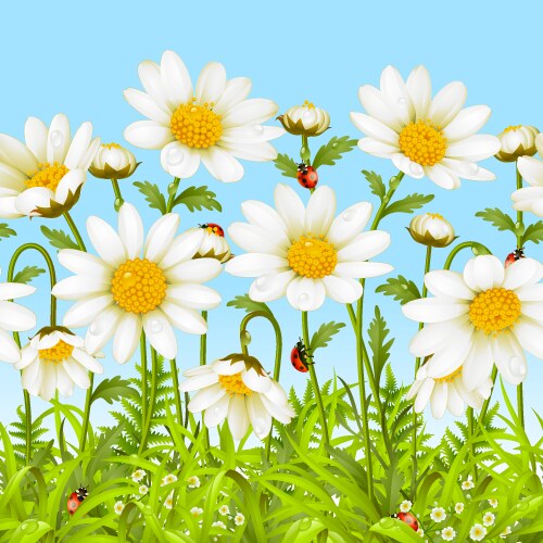 White and Green Flower Vector Images (over 410,000)