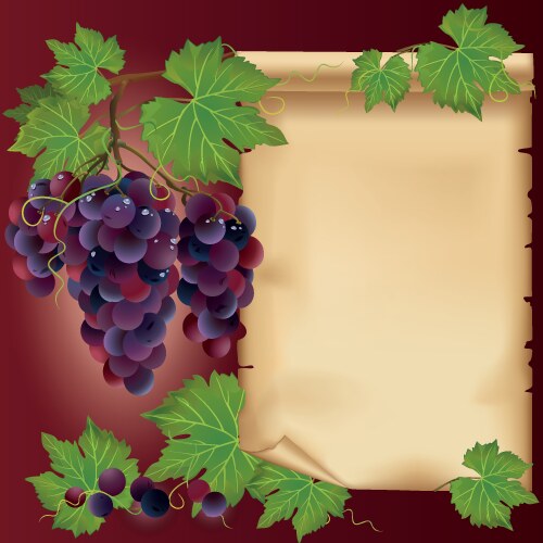 Grape frame Royalty Free Vector Image - VectorStock