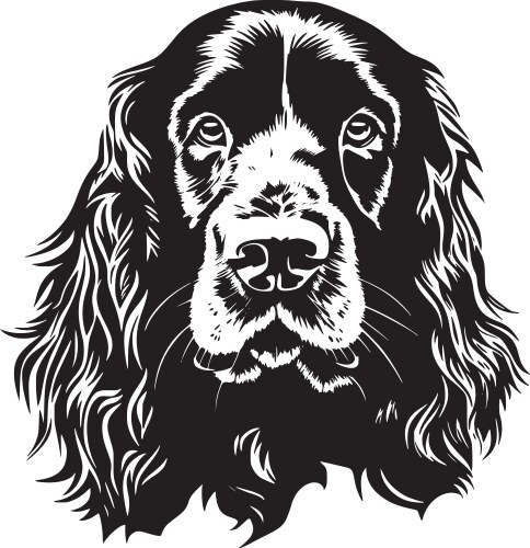 Cocker Spaniel Cartoon Vector Images (over 830)