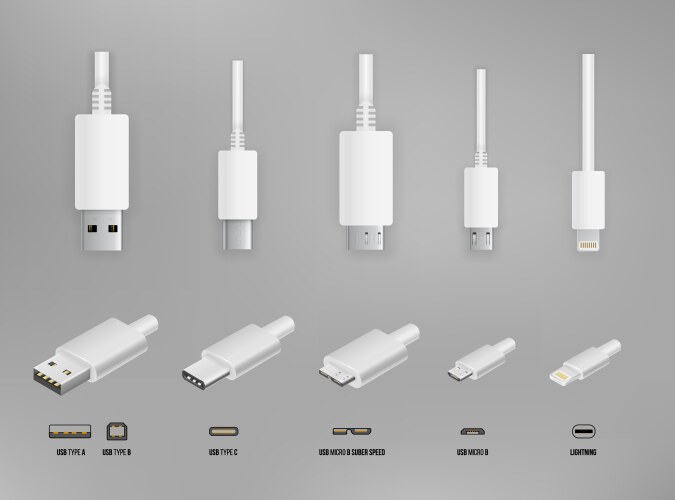 Usb type c Royalty Free Vector Image - VectorStock