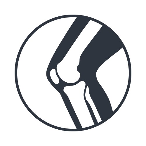 Human knee joint anatomy realistic scheme Vector Image