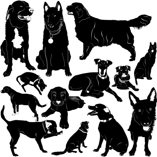 Dog set Royalty Free Vector Image - VectorStock