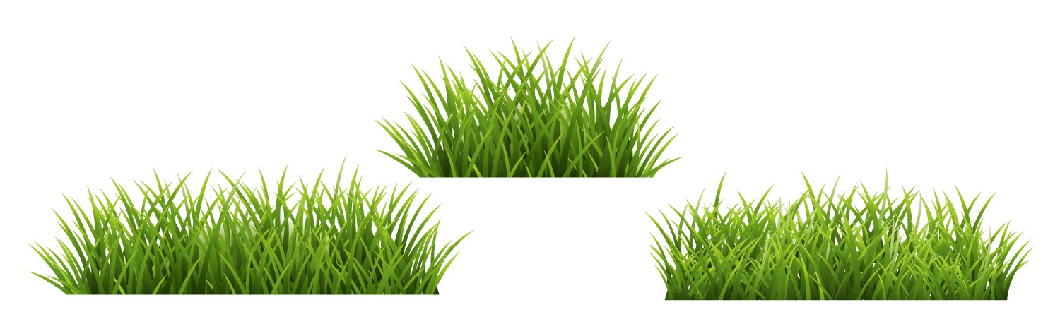 Wheat and grass Royalty Free Vector Image - VectorStock