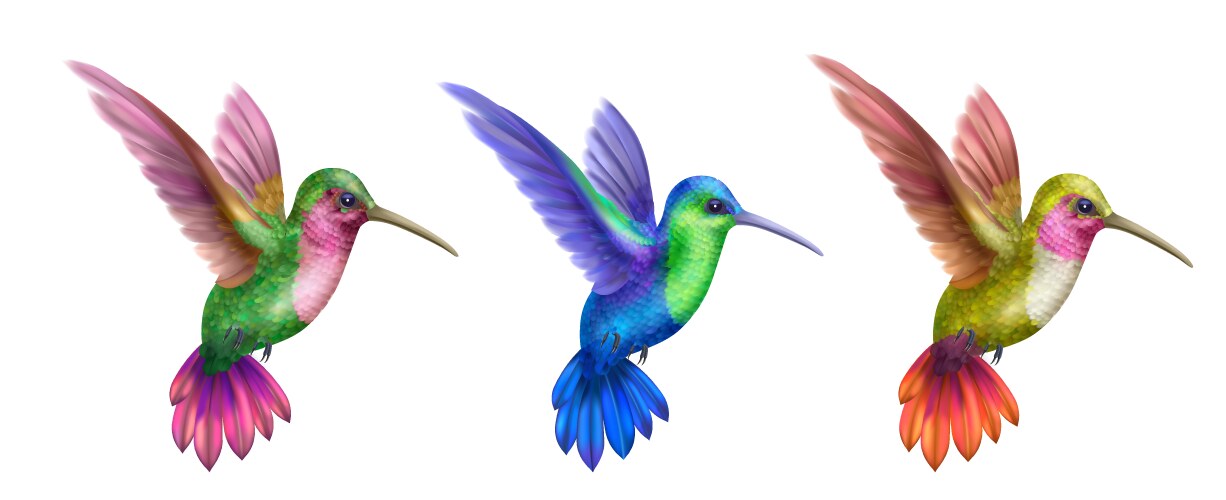 Hummingbird Vector Images (over 10,000)
