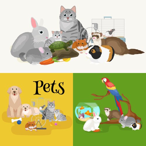 Home pets set cat dog parrot goldfish hamster Vector Image