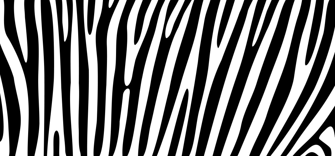 Safari zebra line pattern print Royalty Free Vector Image