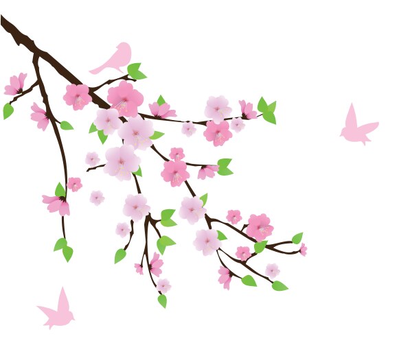 Cherry tree Royalty Free Vector Image - VectorStock