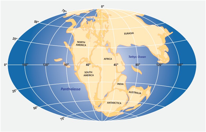 Pangea Map Vector Images (34)