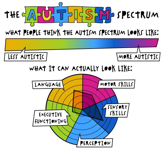 Multidimensional autism spectrum higher and lower Vector Image