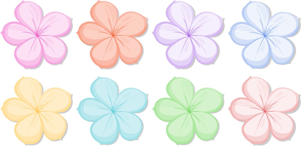 Five Petal White Flower Vector Images (over 460)