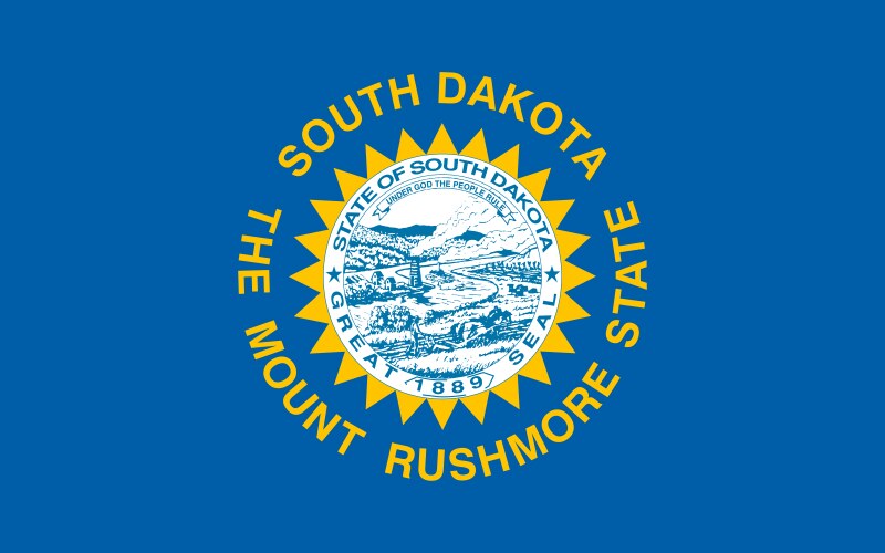 Label sticker cards of state south dakota usa Vector Image