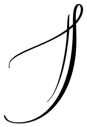 Hand drawn calligraphy letter j script Royalty Free Vector