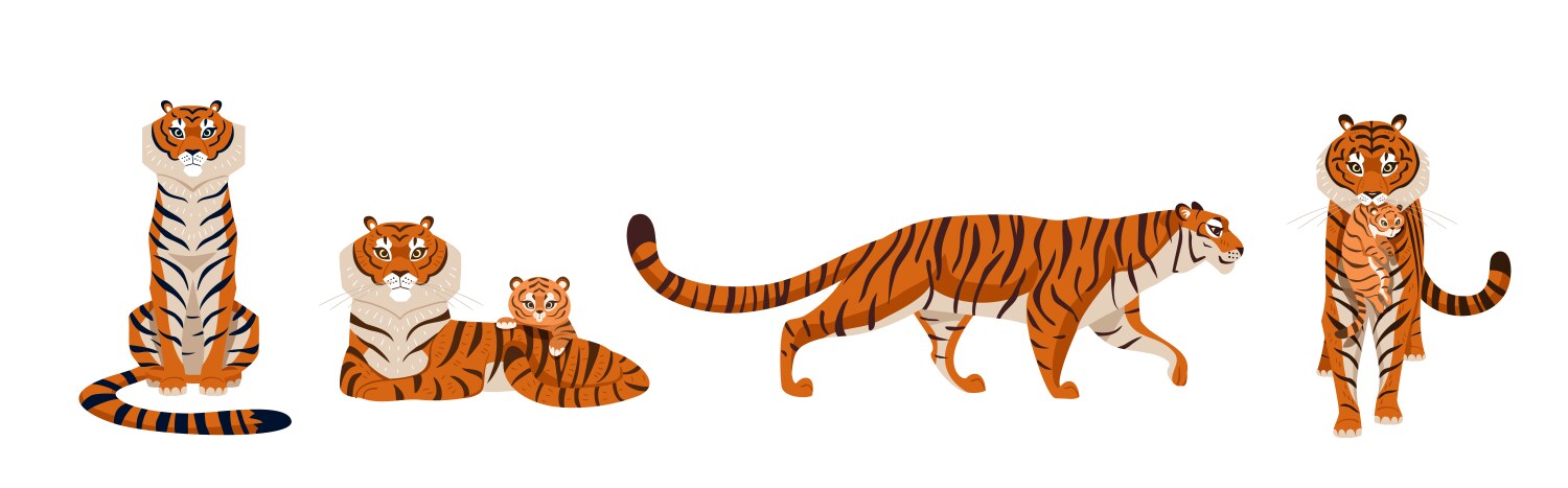 Tiger Vector Images (over 77,000)