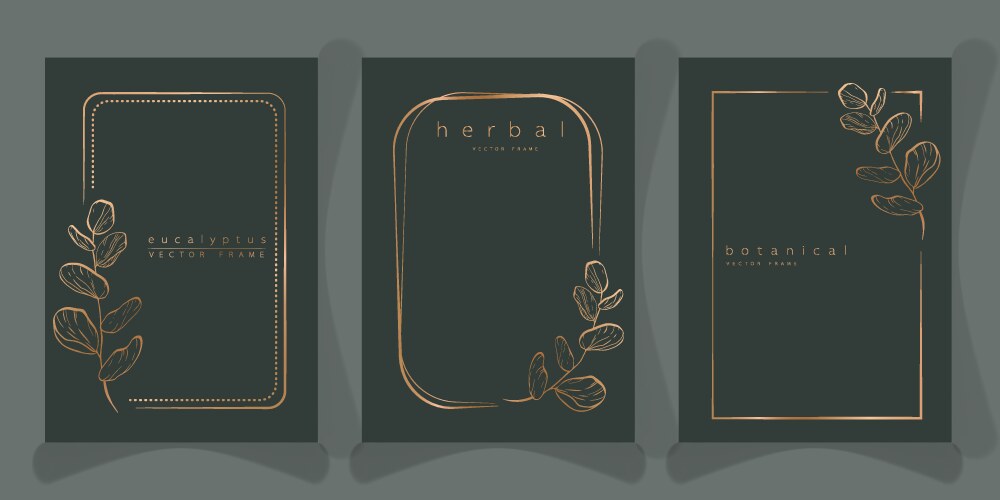 Eucalyptus Vector Images (over 19,000)