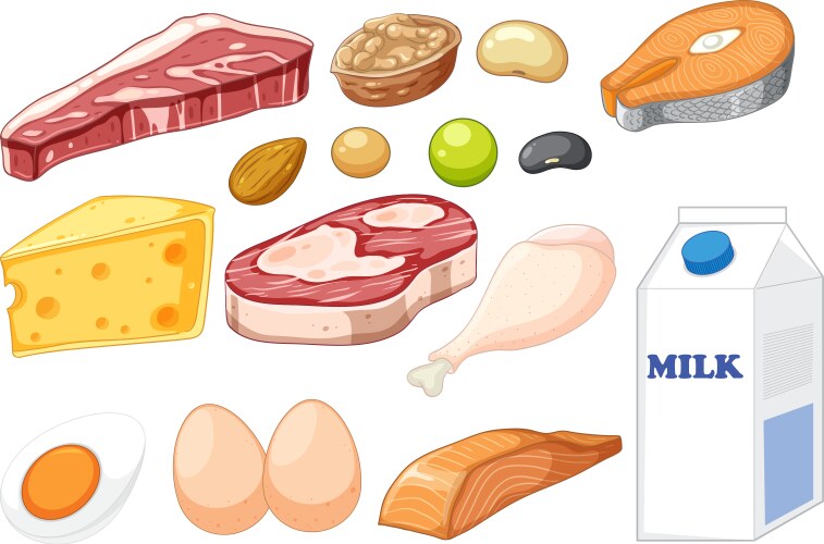 Fish Royalty Free Vector Image - VectorStock