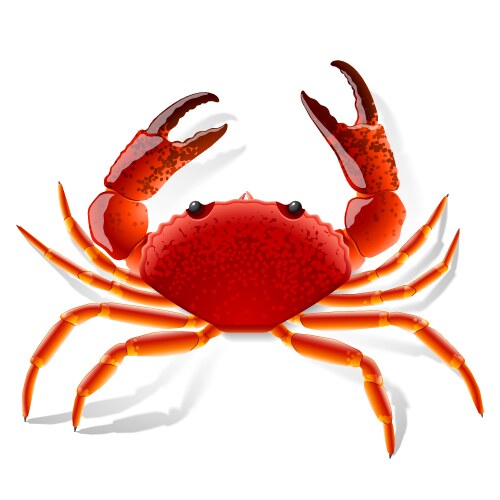 Crab Vector Images (over 47,000)