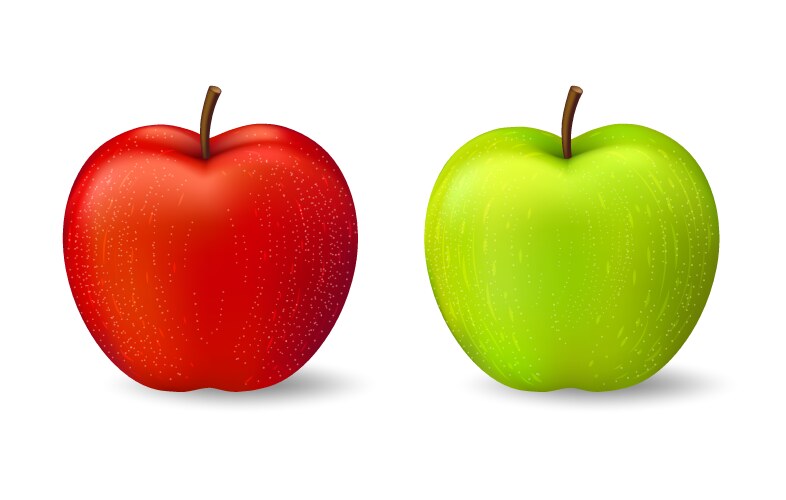 Realistic colorful apples Royalty Free Vector Image