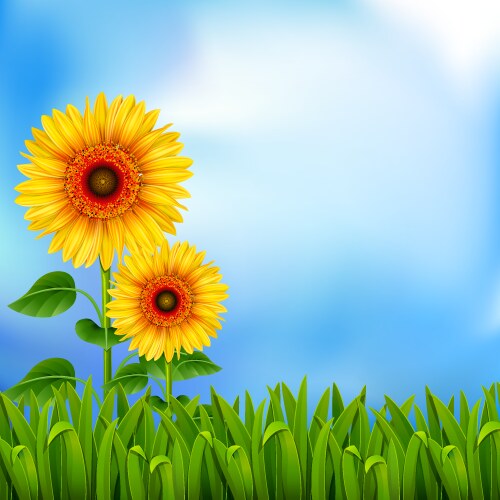 Sunflowers Vector Images (over 47,000)