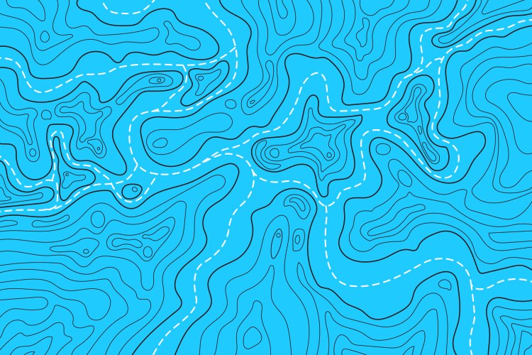 Topographic map background Royalty Free Vector Image