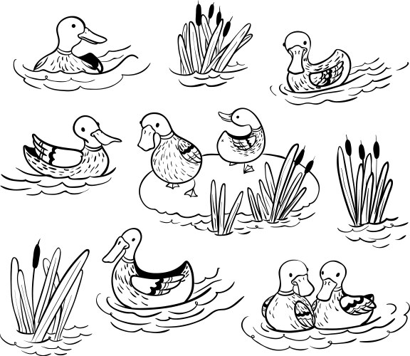 Duck Outline Vector Images (over 10,000)