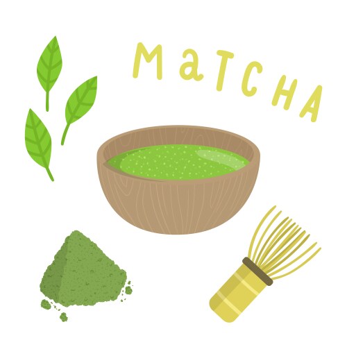 Matcha in a spoon Royalty Free Vector Image - VectorStock