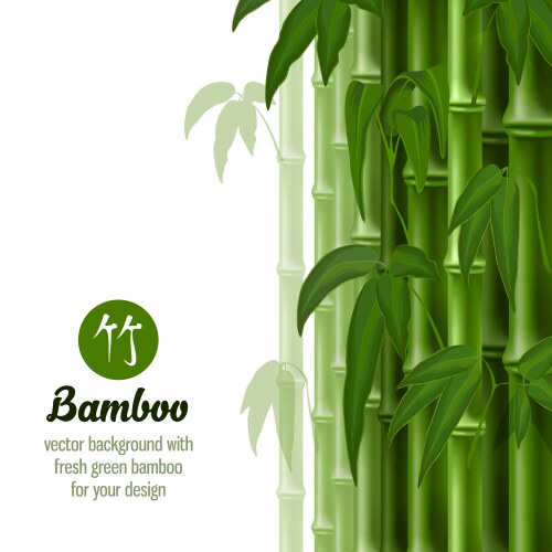 Bamboo Vector Images (over 45,000)