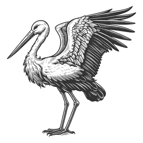Stork Vector Images (over 9,200)